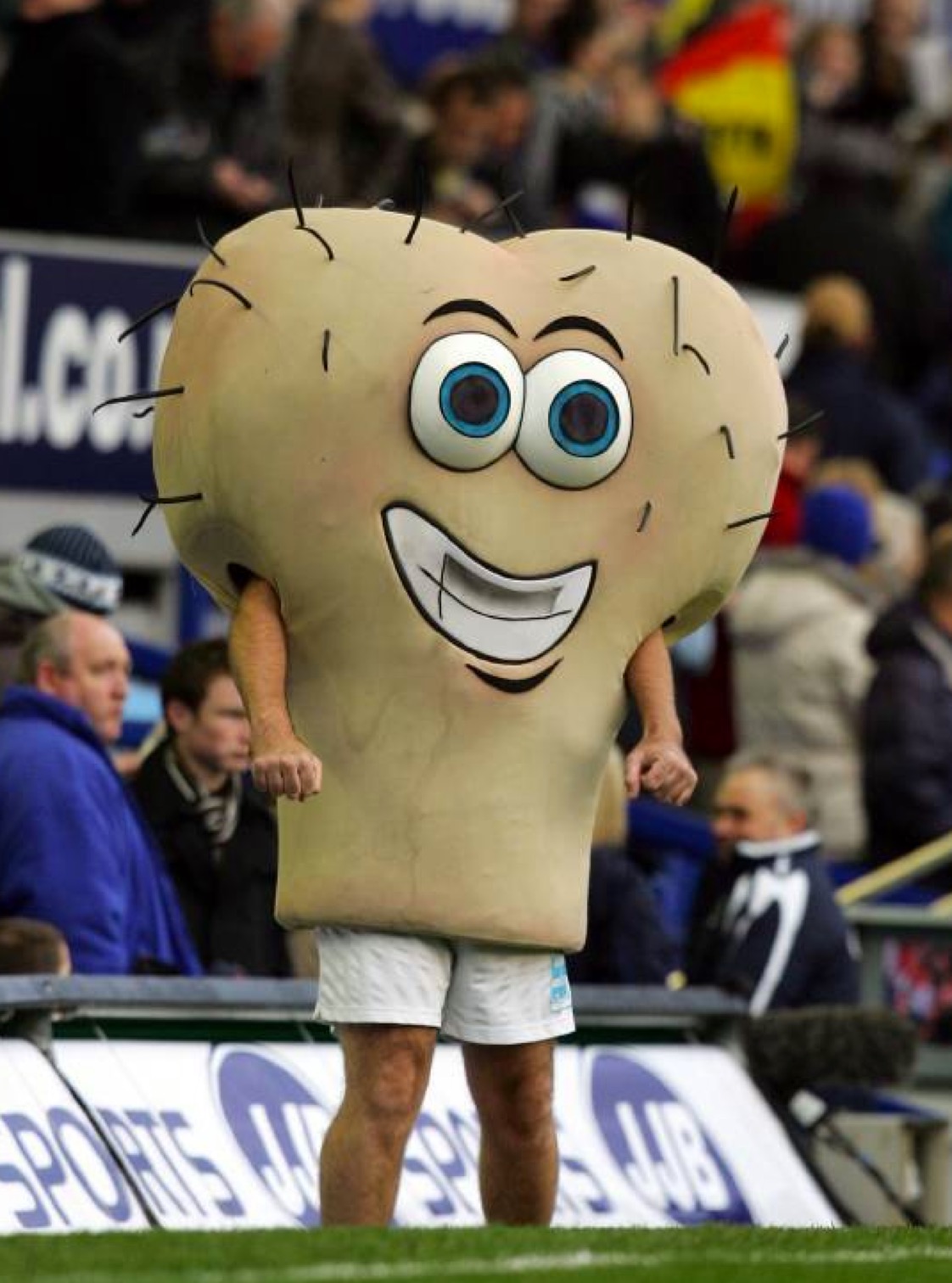 Most stupid Football mascots - The Terrace - Jambos Kickback