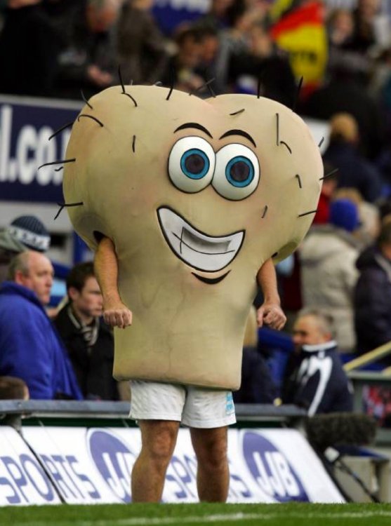 Most Stupid Football Mascots The Terrace Jambos Kickback most-stupid-football-mascots-the-terrace-jambos-kickback