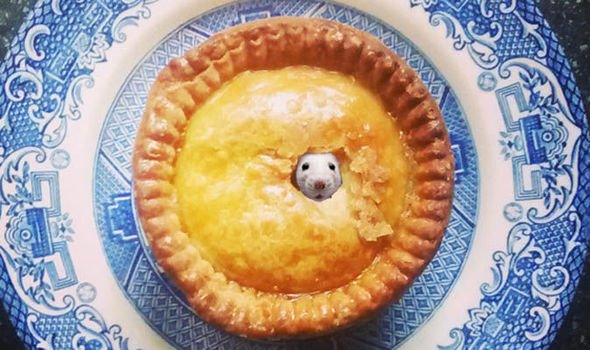 Award Winning Pies - The Terrace - Jambos Kickback