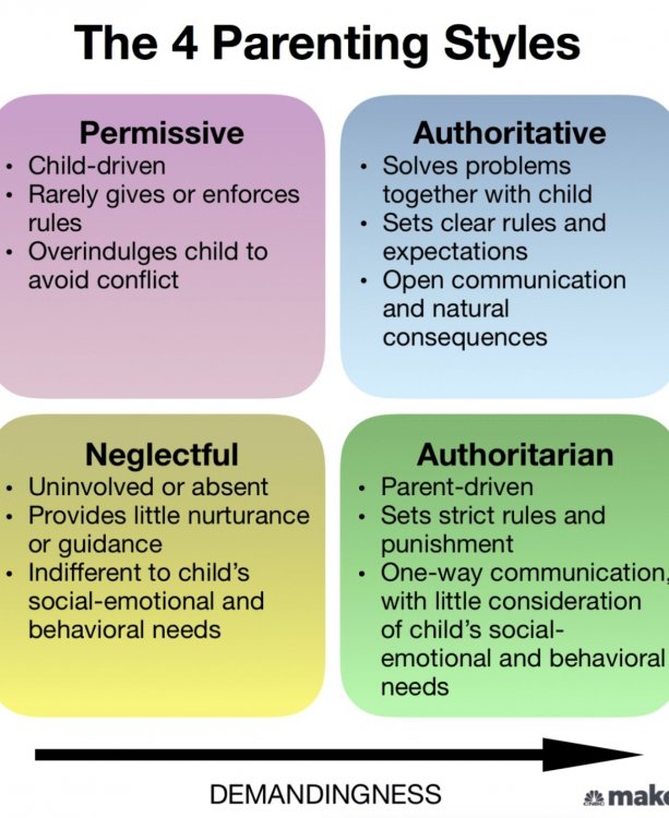 11 year old Kaitlyn Easson missing in Galashiels - found safe and well - The Shed - Jambos Kickback