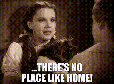 Going home - The Shed - Jambos Kickback