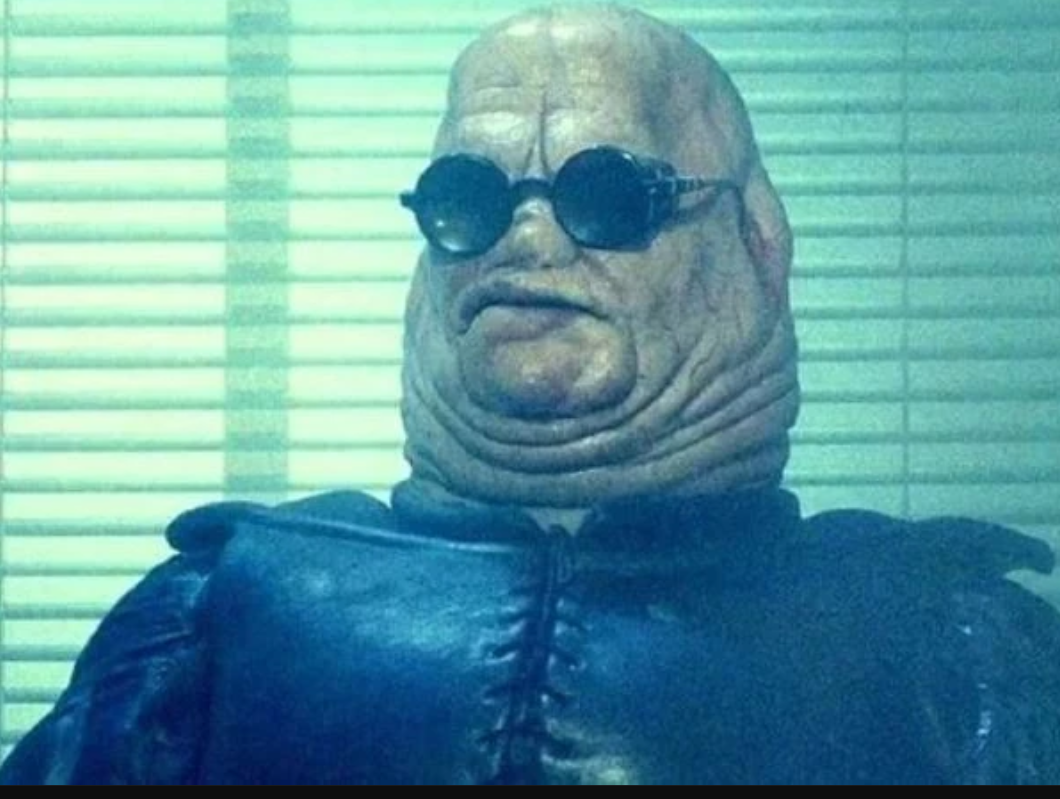 You’ve no’ half got yersel a baw face... - The Shed - Jambos Kickback